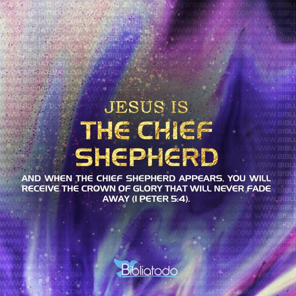 Meaning of The Chief Shepherd - Jesús is