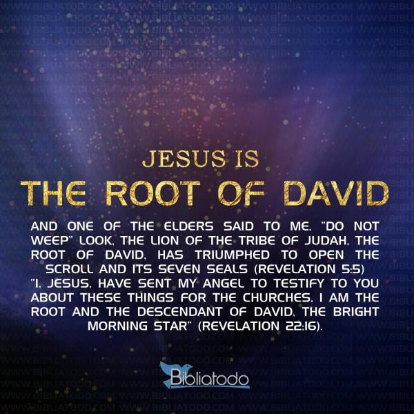 Meaning of The Root of David - Jesús is
