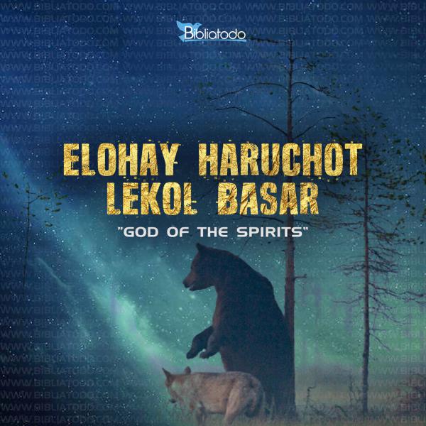 Meaning of ELOHAY HARUCHOT LEKOL BASAR - God’s names