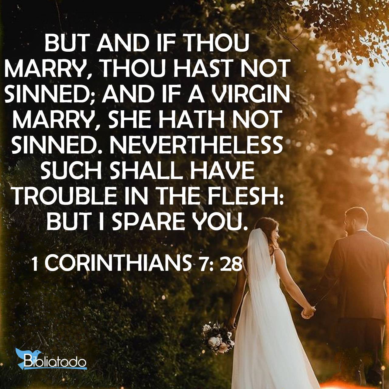 1 Corinthians 7:28 Bible Cross References | Connecting Verses Across Scripture - WTNT