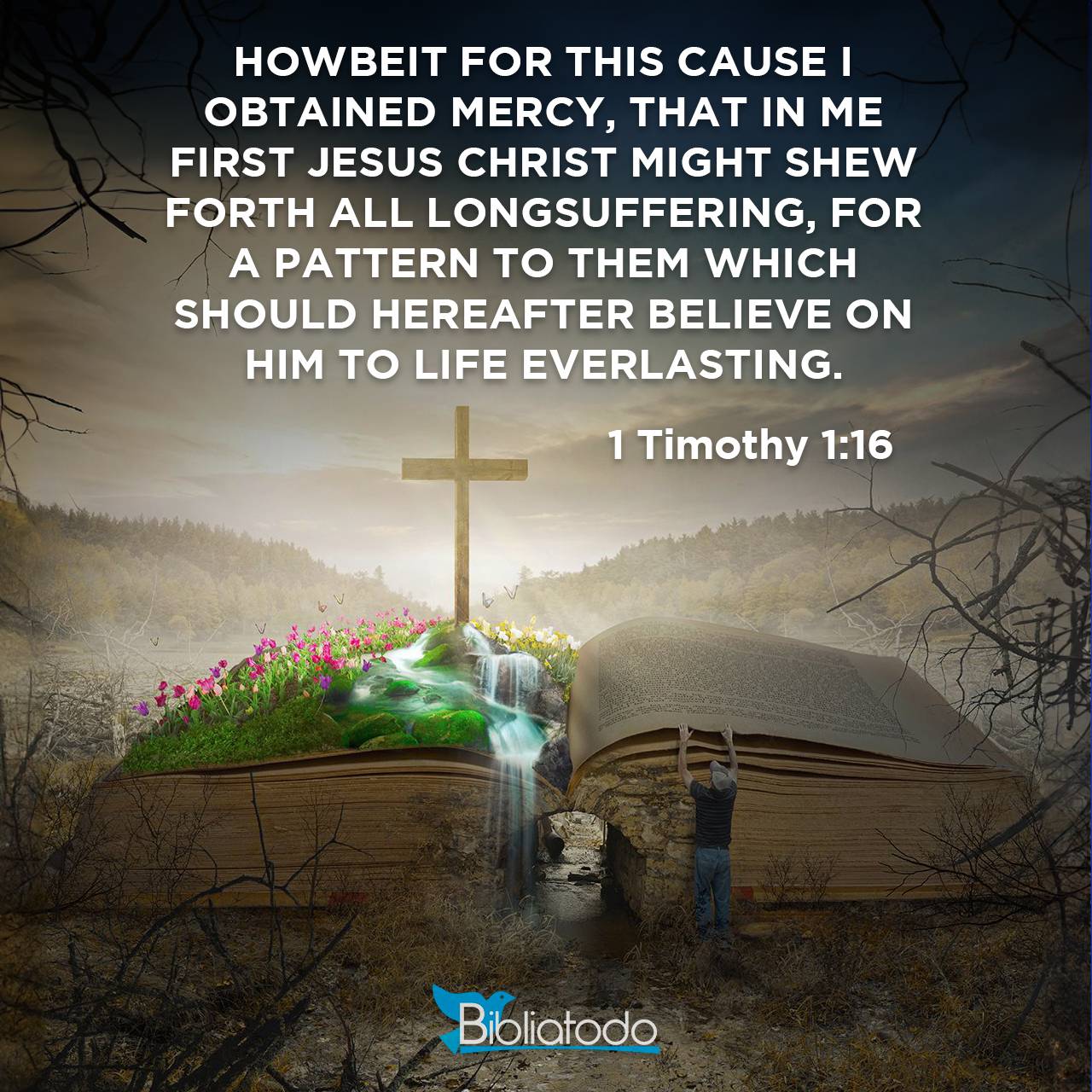 1 Timothy 1:16 Bible Cross References | Connecting Verses Across Scripture - GNV