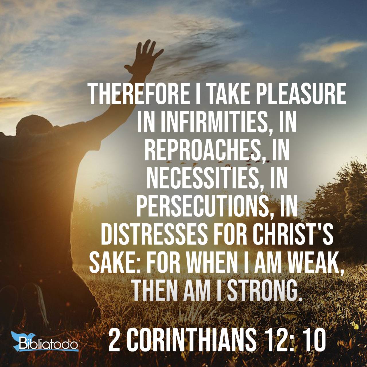 2 Corinthians 12:10 Bible Cross References | Connecting Verses Across ...