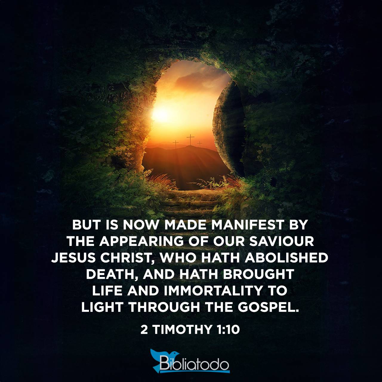 2 Timothy 1:10 Bible Cross References | Connecting Verses Across ...