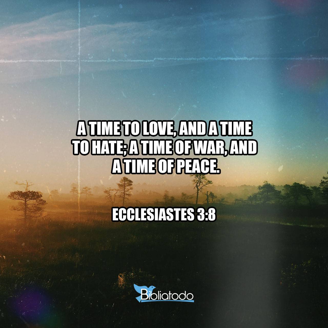 Ecclesiastes 3:8 darby - A time to love, and a time to hate; A time of ...
