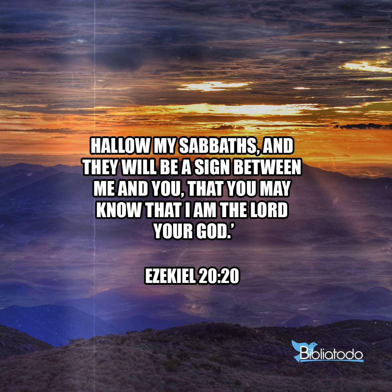 Ezekiel 20:20 Bible Cross References | Connecting Verses Across Scripture - KJV-Strongs