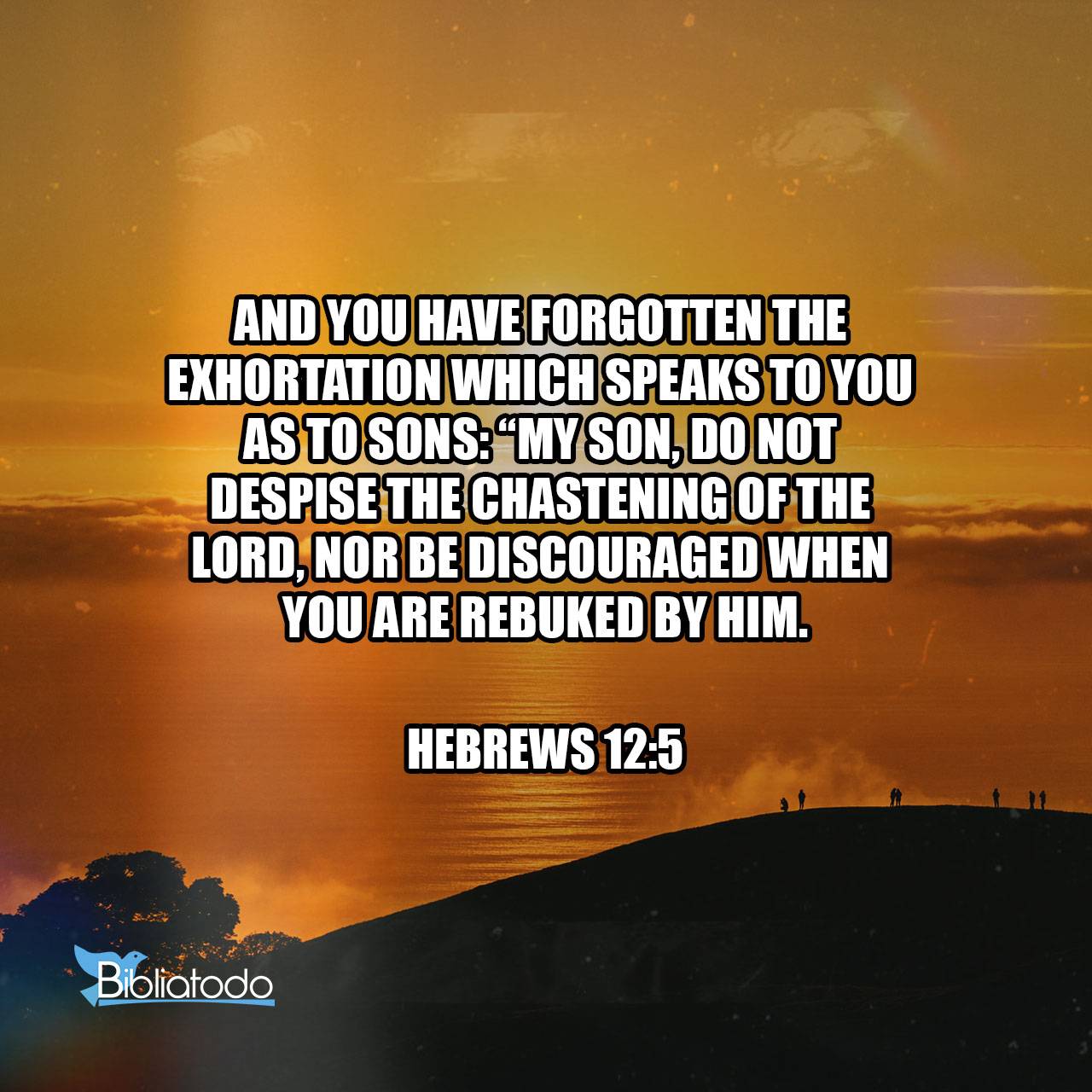 Hebrews 12:5 Bible Cross References | Connecting Verses Across ...