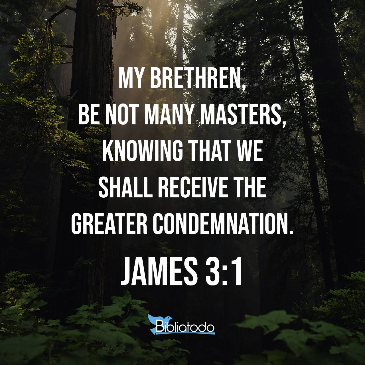 James 3:1 Bible Cross References | Connecting Verses Across Scripture ...