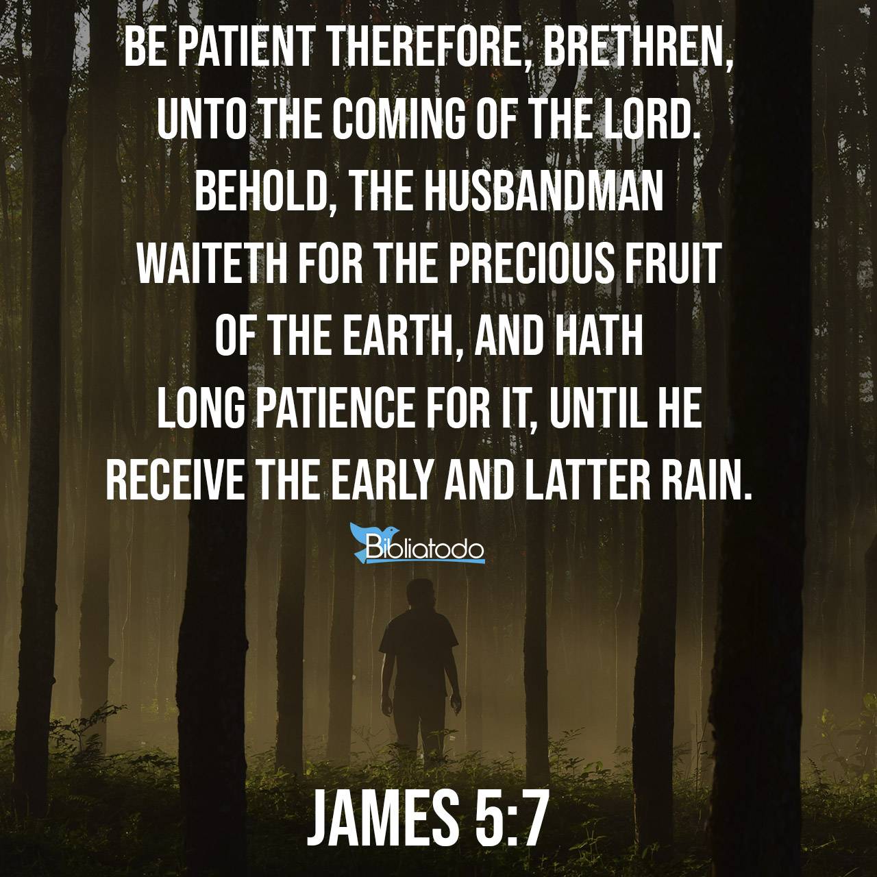 James 5:7 TPT - Meanwhile, brothers and sisters, we must be patient and ...