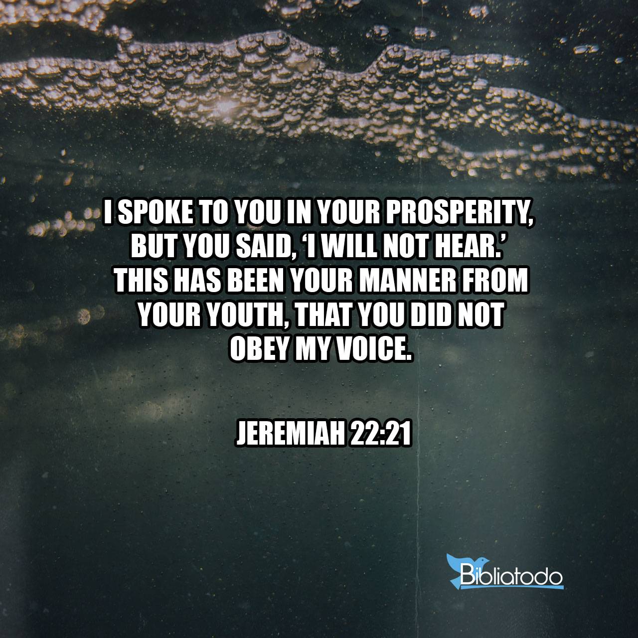 Jeremiah 22:21 Bible Cross References | Connecting Verses Across ...