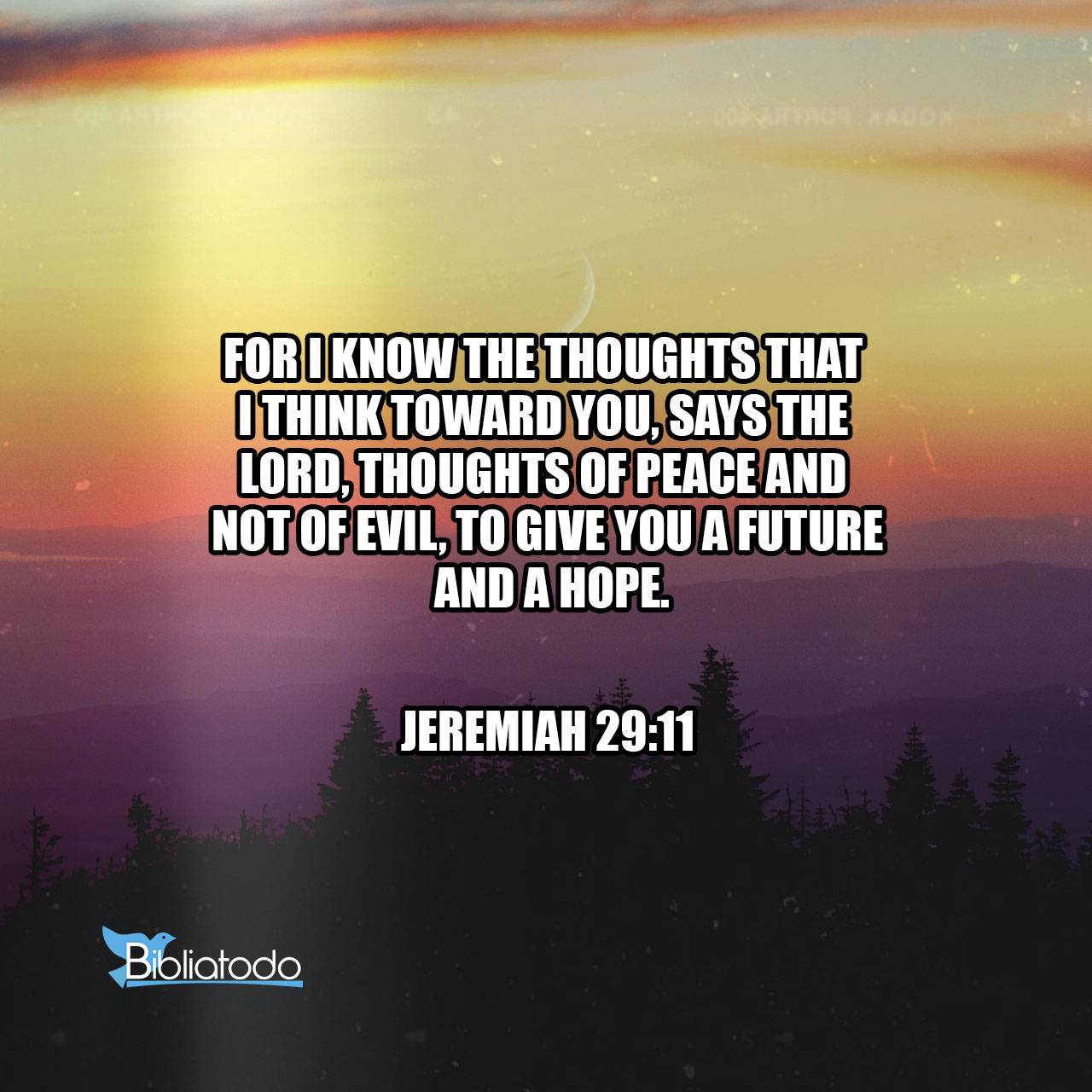 Jeremiah 29:11 Bible Cross References | Connecting Verses Across ...
