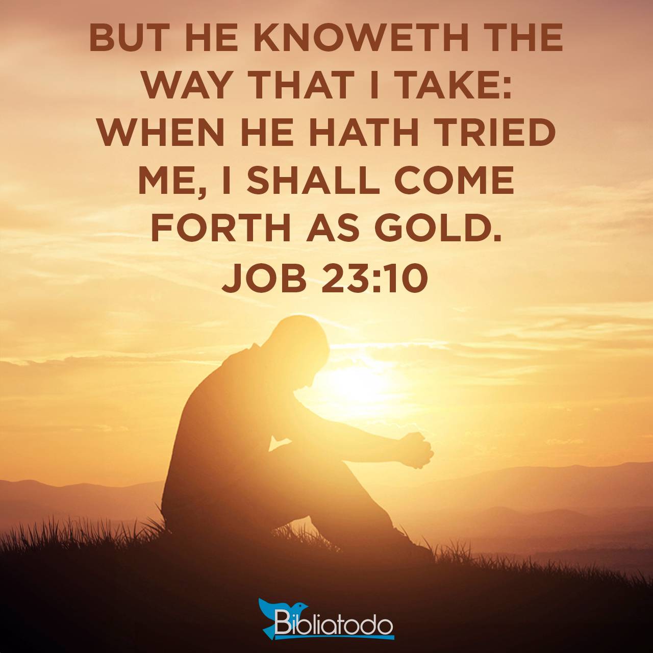 Job 23:10 Rotherham - But, he, knoweth the way that I choose, Having ...