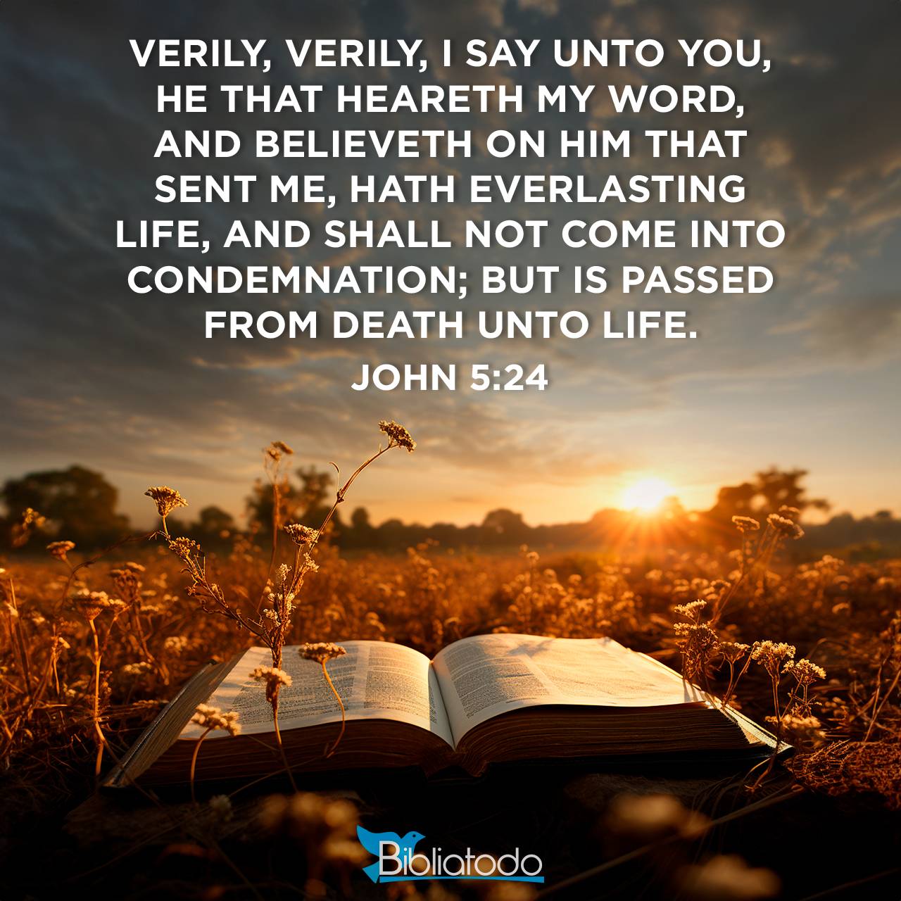 John 5:24 Bible Cross References | Verse-to-Verse Connections - NRSVUE