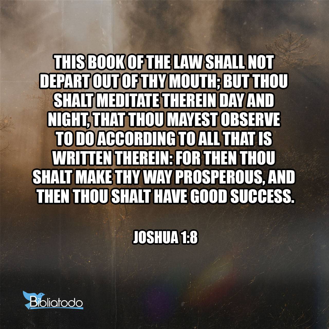Joshua 1:8 AMP - This Book of the Law shall not depart from your mouth ...