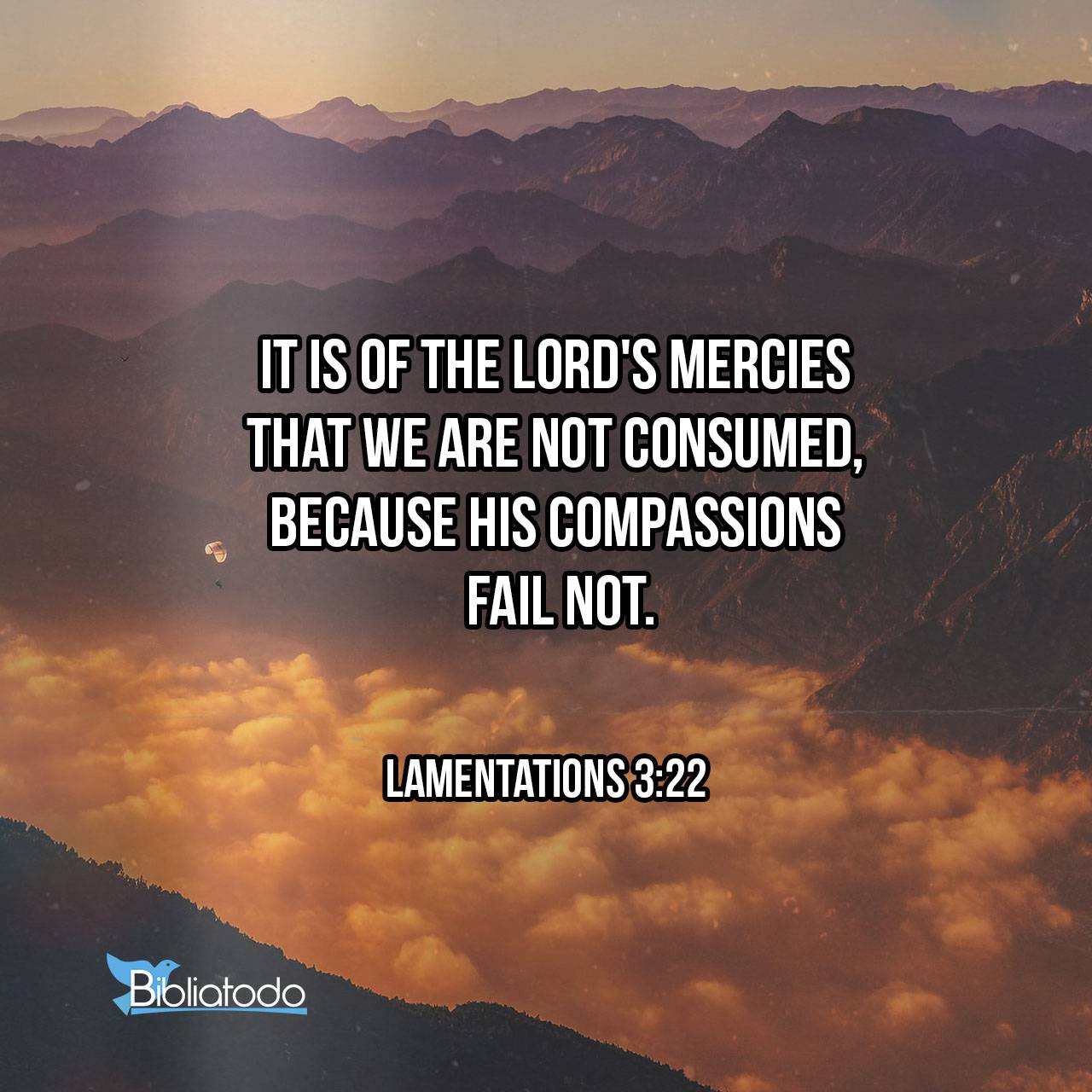 Lamentations 3:22 Bible Cross References | Connecting Verses Across ...