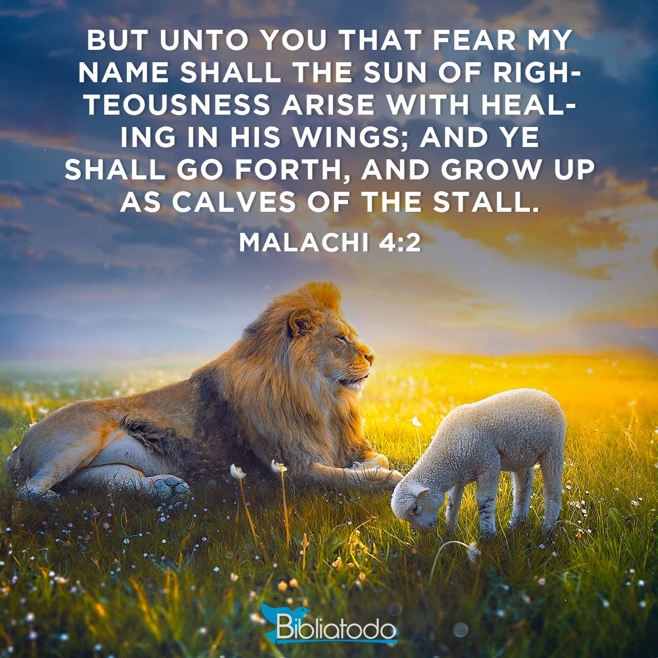 Malachi 4:2 WoY - But unto you that fear my name shall the Sun of ...