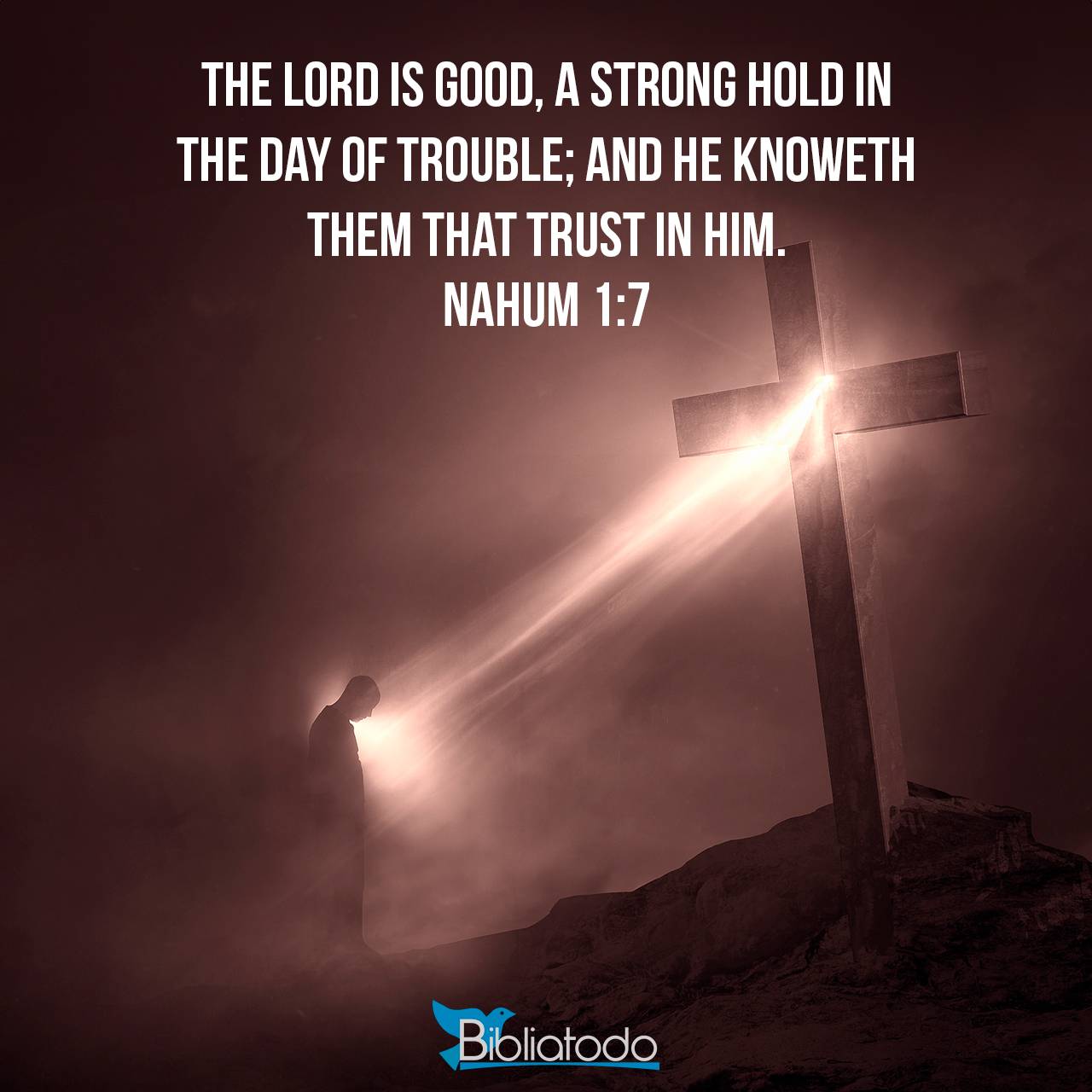 Nahum 1:7 CEB - The LORD is good, a haven in a day of distress. He acknowledges those who take ...