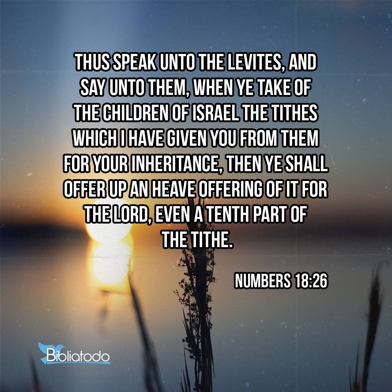 Numbers 18:26 Bible Cross References | Connecting Verses Across ...