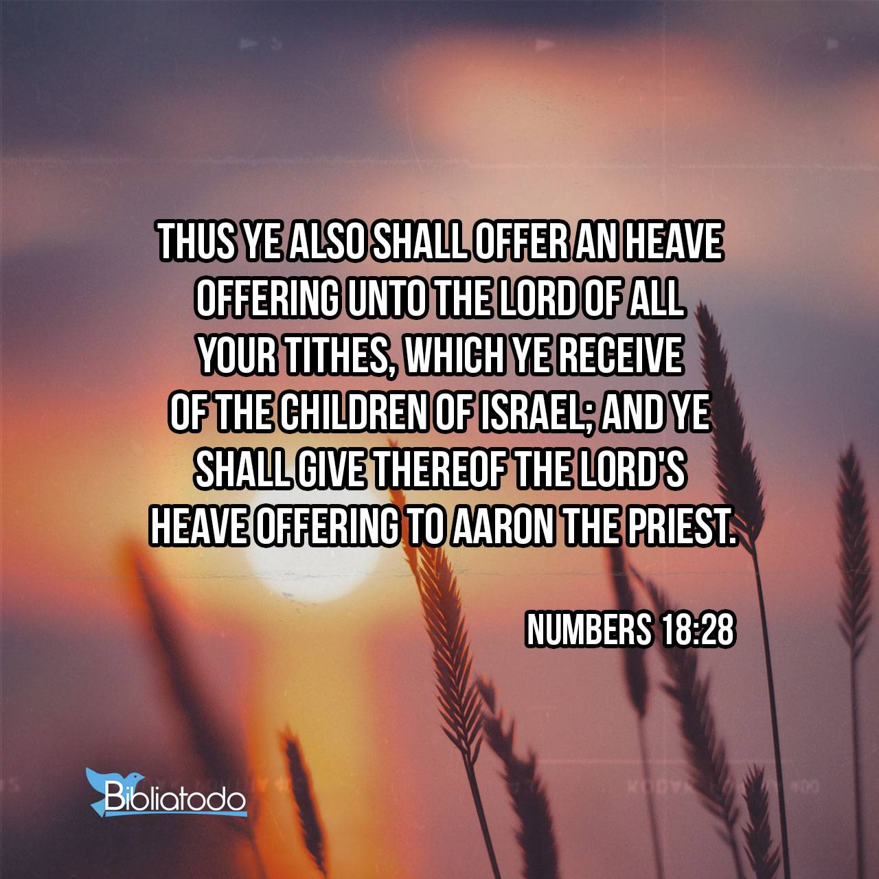Numbers 18:28 ESV2016 - So you shall also present a contribution to the ...