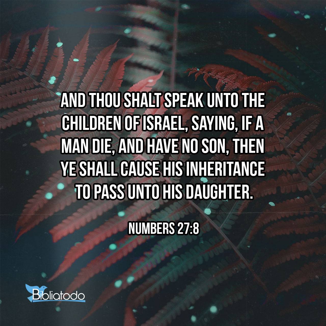 Numbers 27:8 Bible Cross References | Connecting Verses Across ...