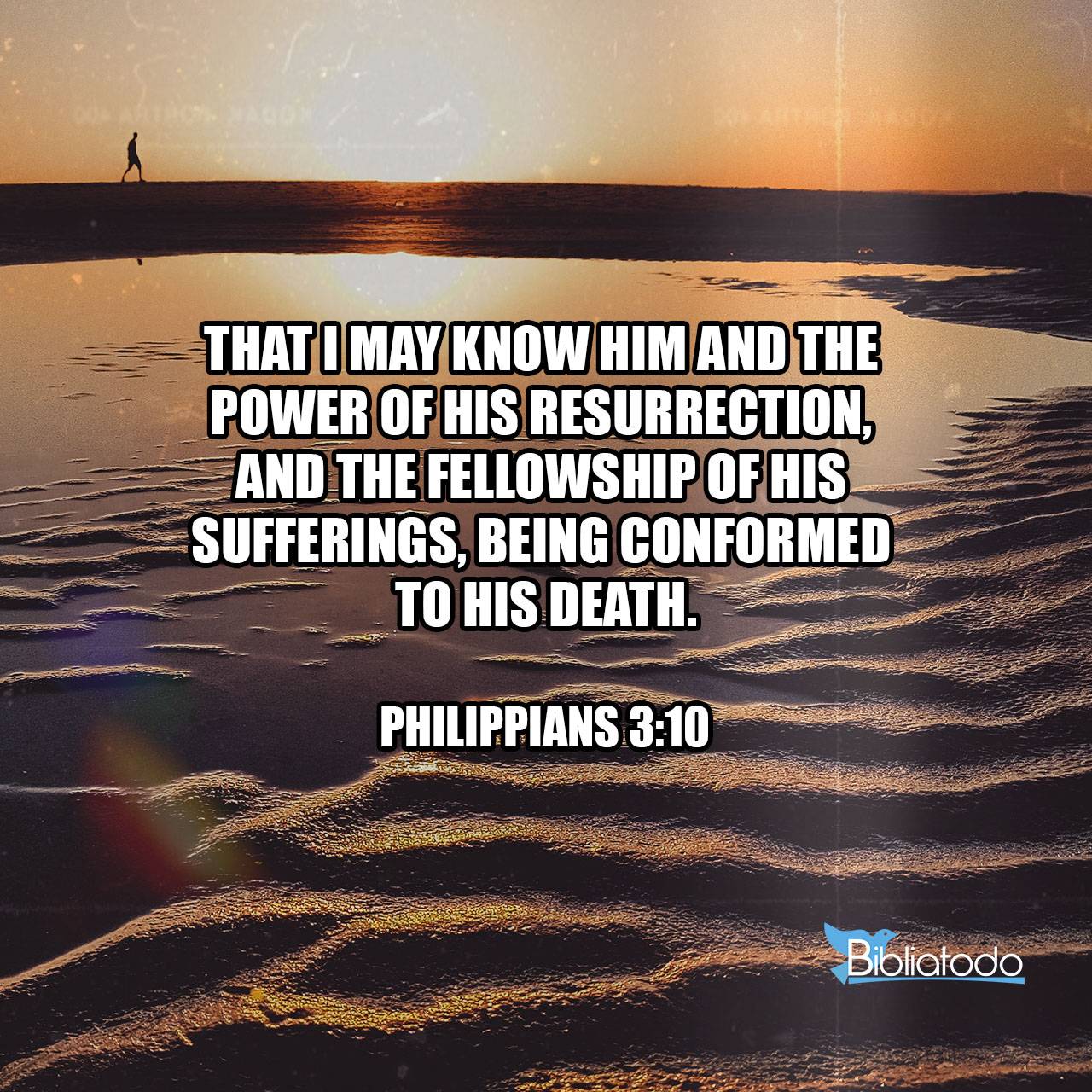 Philippians 3:10 AMPC - [For my determined purpose is] that I may know ...