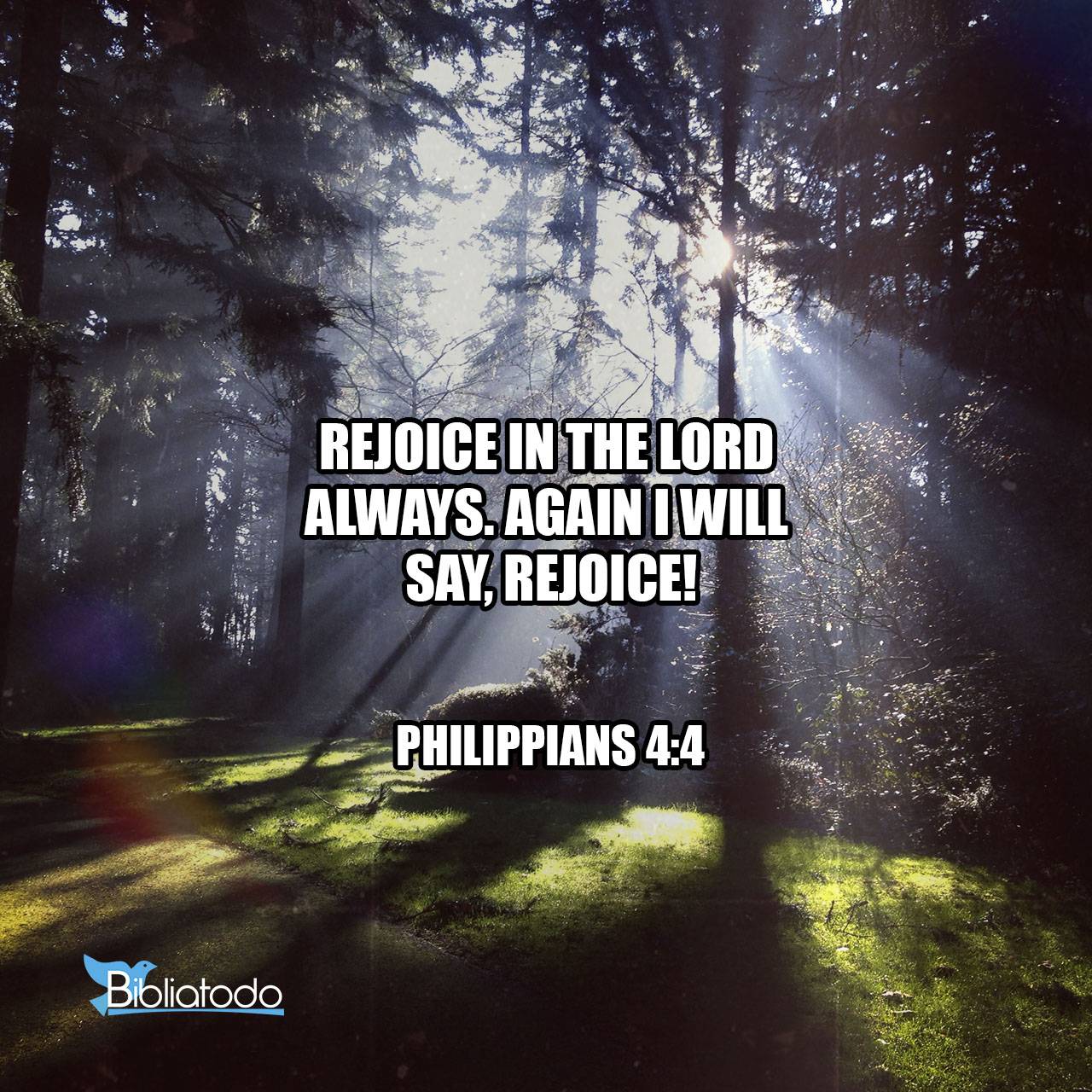 Philippians 4:4 Bible Cross References | Connecting Verses Across ...