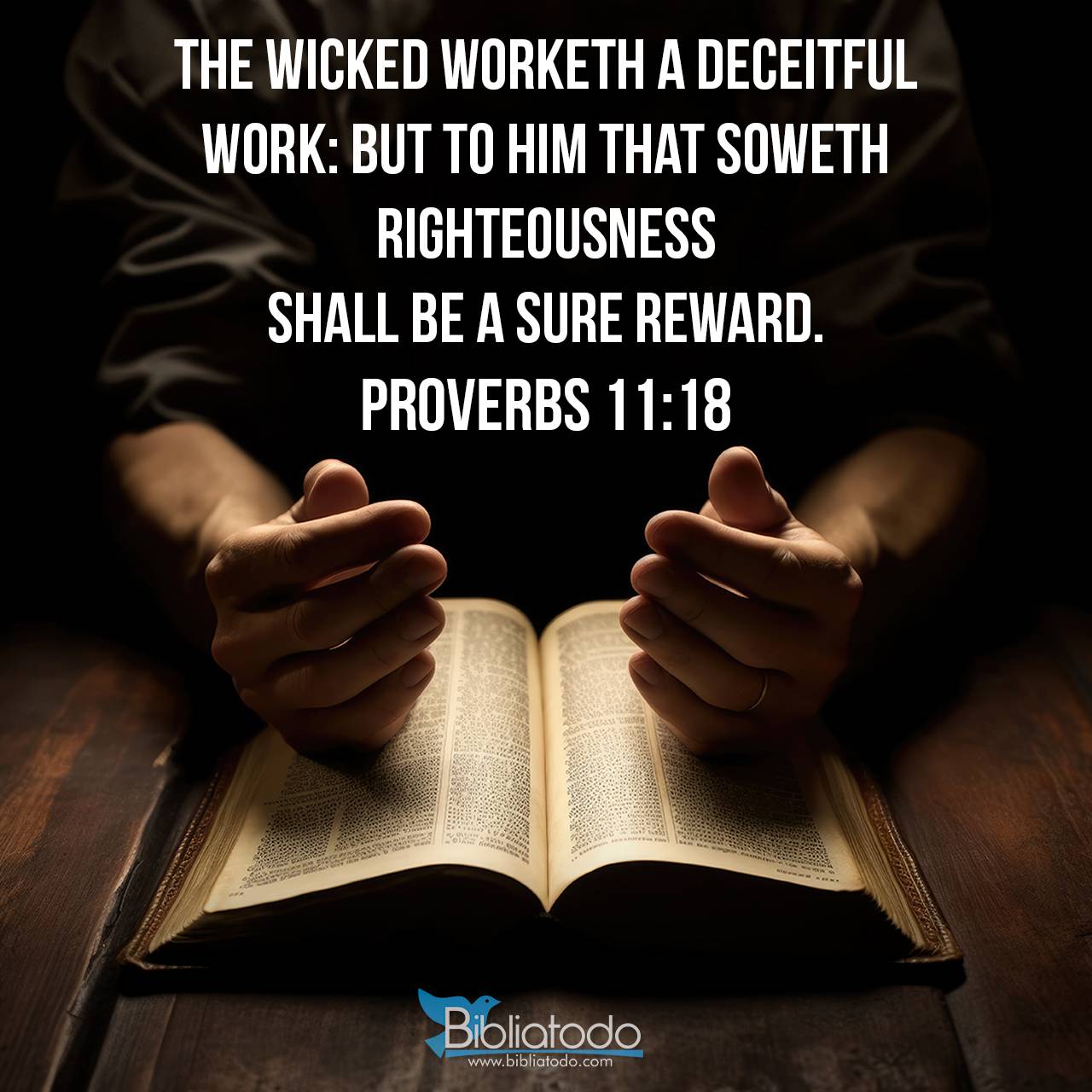 Proverbs 11:18 CEV1995 - Meanness gets you nowhere, but goodness is rewarded.