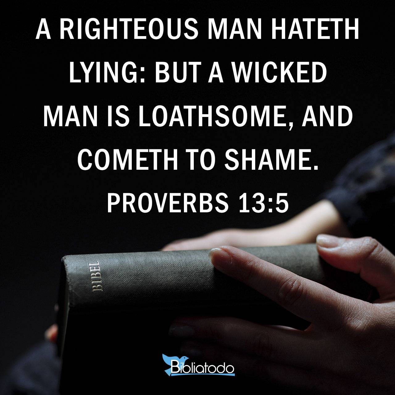 Proverbs 13:5 Bible Cross References | Connecting Verses Across Scripture - NRSV