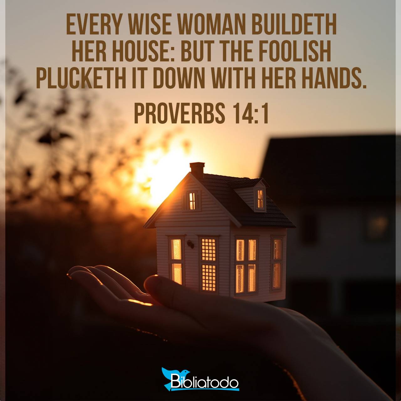 Proverbs 14:1 JUB - ¶ Every wise woman builds her house, but the ...