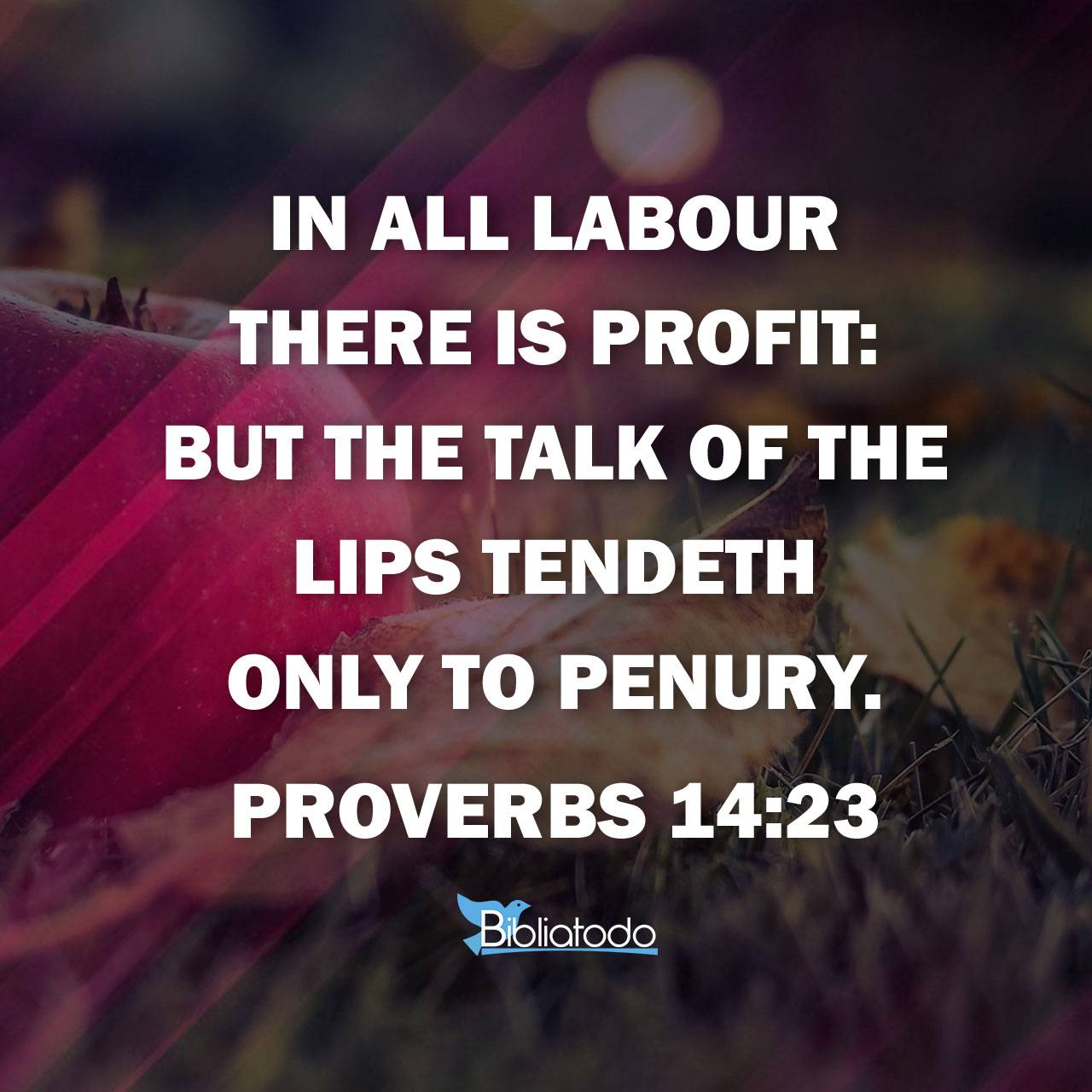 Proverbs 14:23 Bible Cross References | Connecting Verses Across Scripture - KJV-Strongs