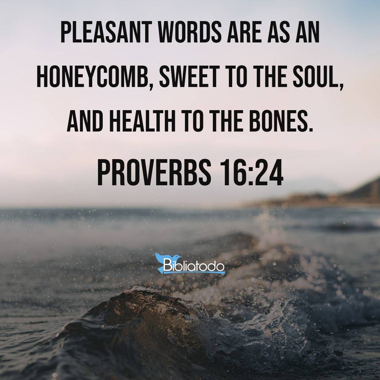 Proverbs 16:24 Bible Cross References | Connecting Verses Across Scripture - NASB1995