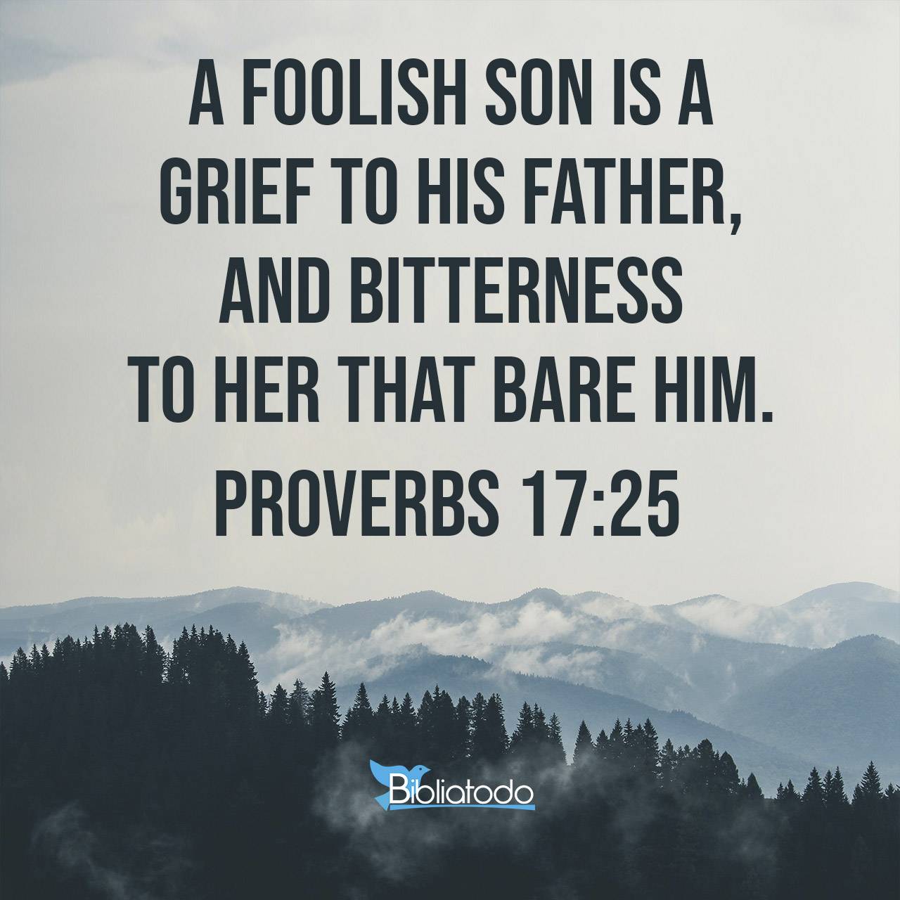Proverbs 17:25 Bible Cross References | Connecting Verses Across Scripture - MEV
