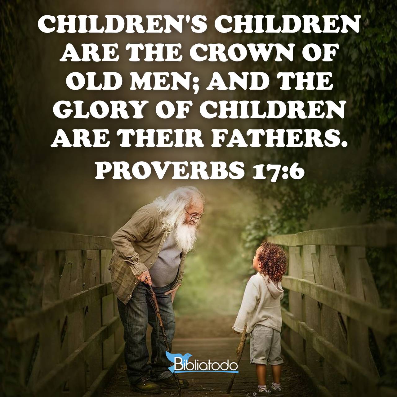 Proverbs 17:6 Bible Cross References | Connecting Verses Across Scripture - AMPC