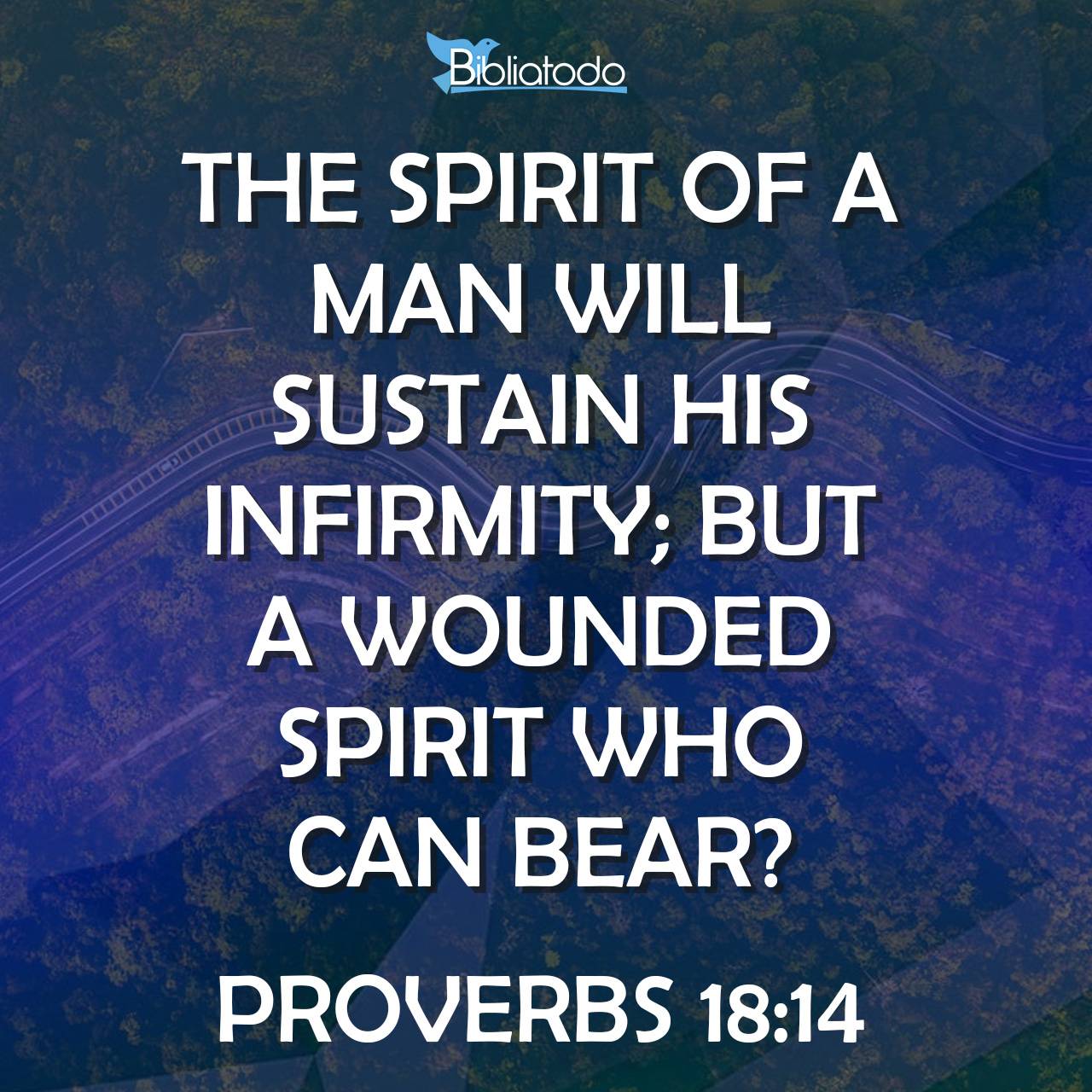 Proverbs 18:14 AMPC - The strong spirit of a man sustains him in bodily ...