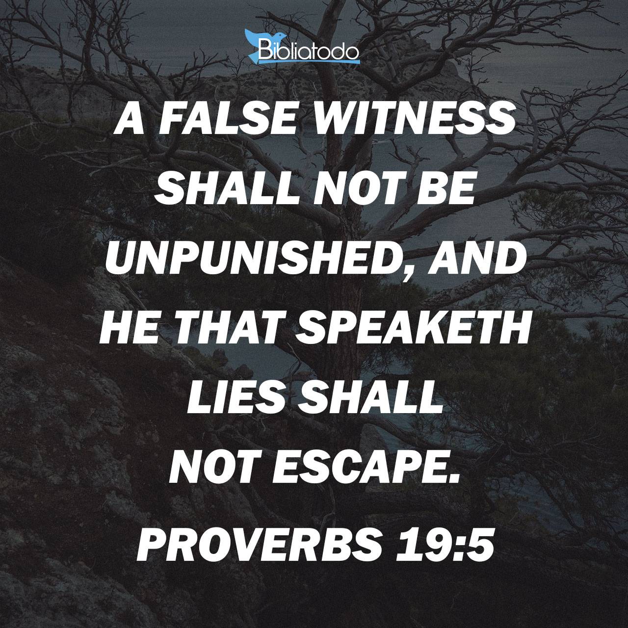 Proverbs 19:5 Bible Cross References | Connecting Verses Across ...