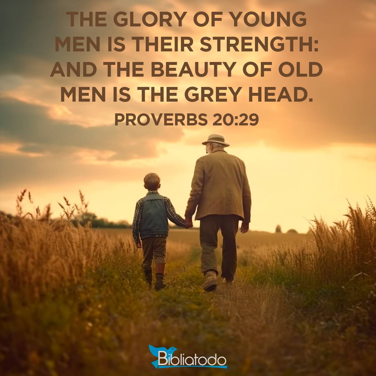 Proverbs 20:29 KJV - Verse of the day