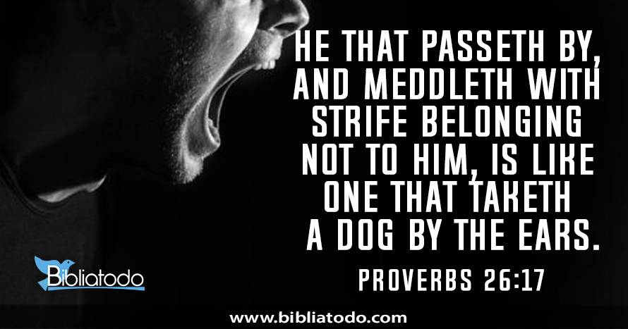 Proverbs 26:17 Bible Cross References | Connecting Verses Across Scripture - Youngs1862