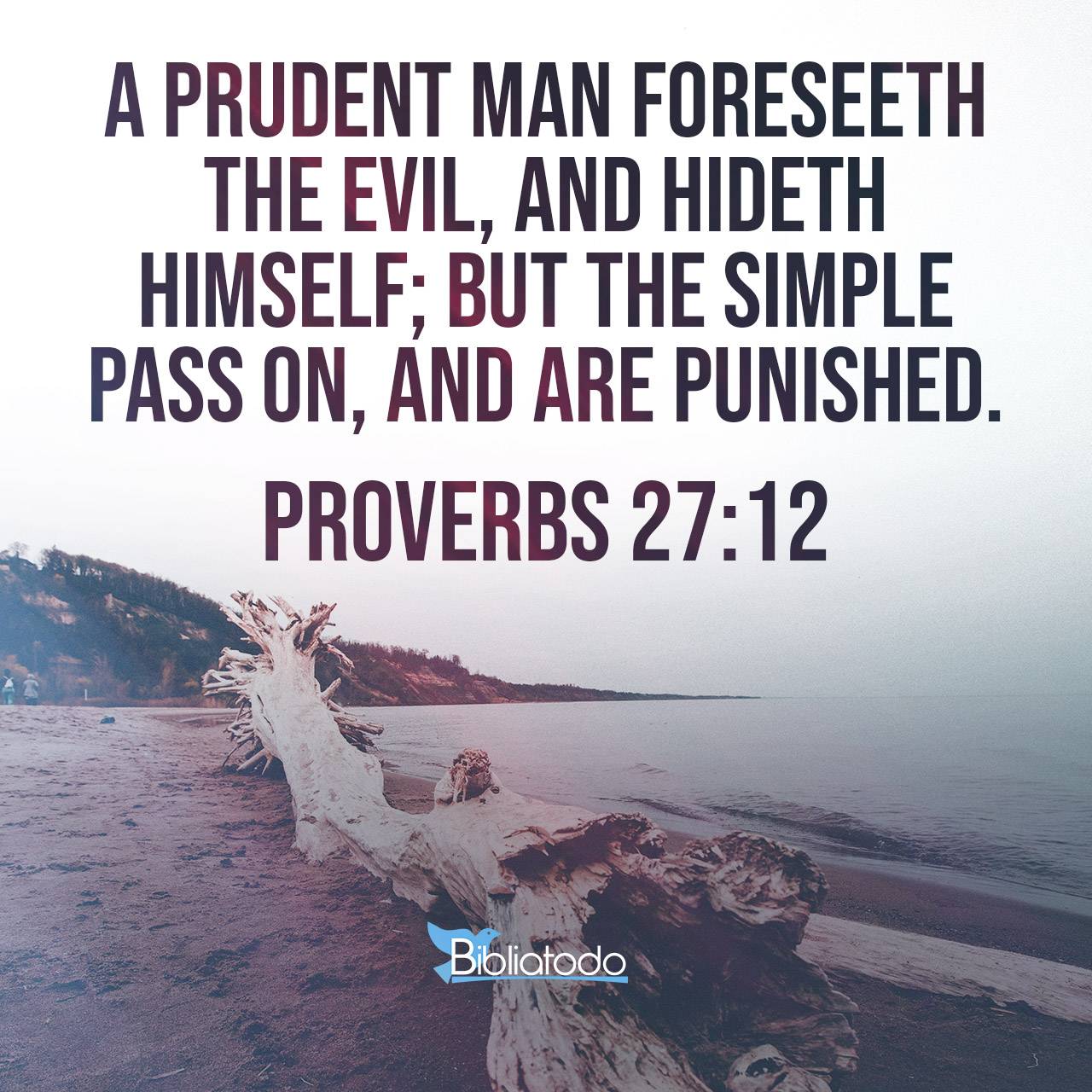 Proverbs 27:12 FBV - If you're sensible you see danger coming and get ...