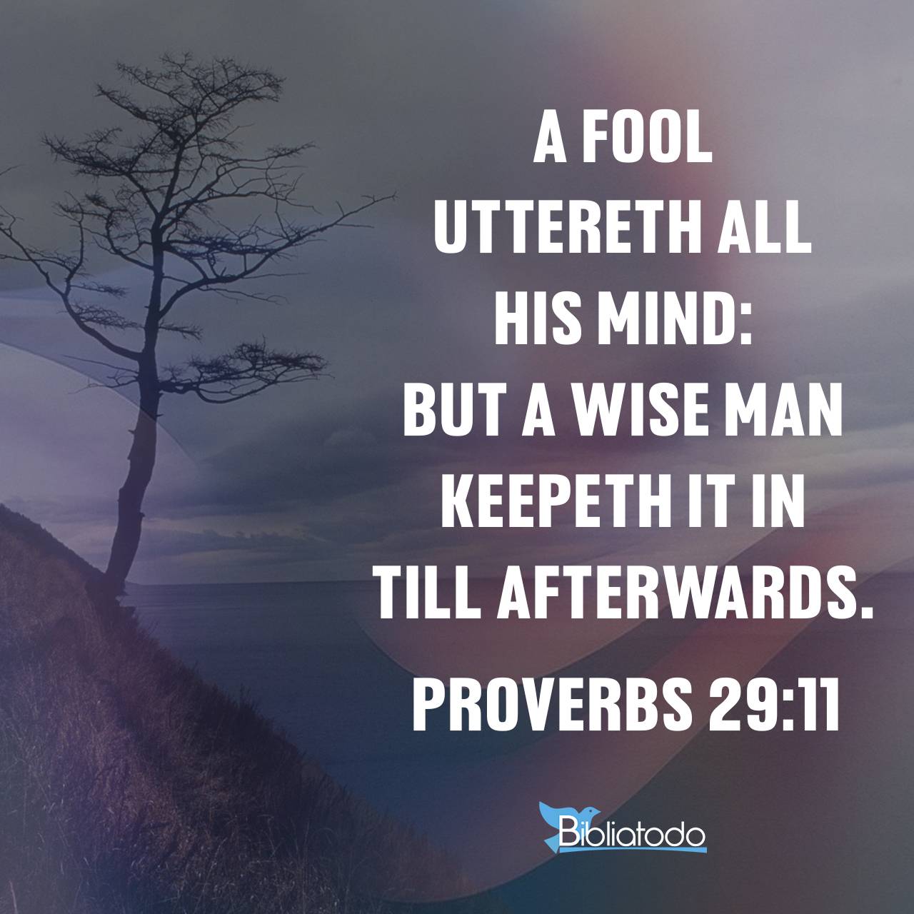 Proverbs 29:11 Bible Cross References | Connecting Verses Across ...