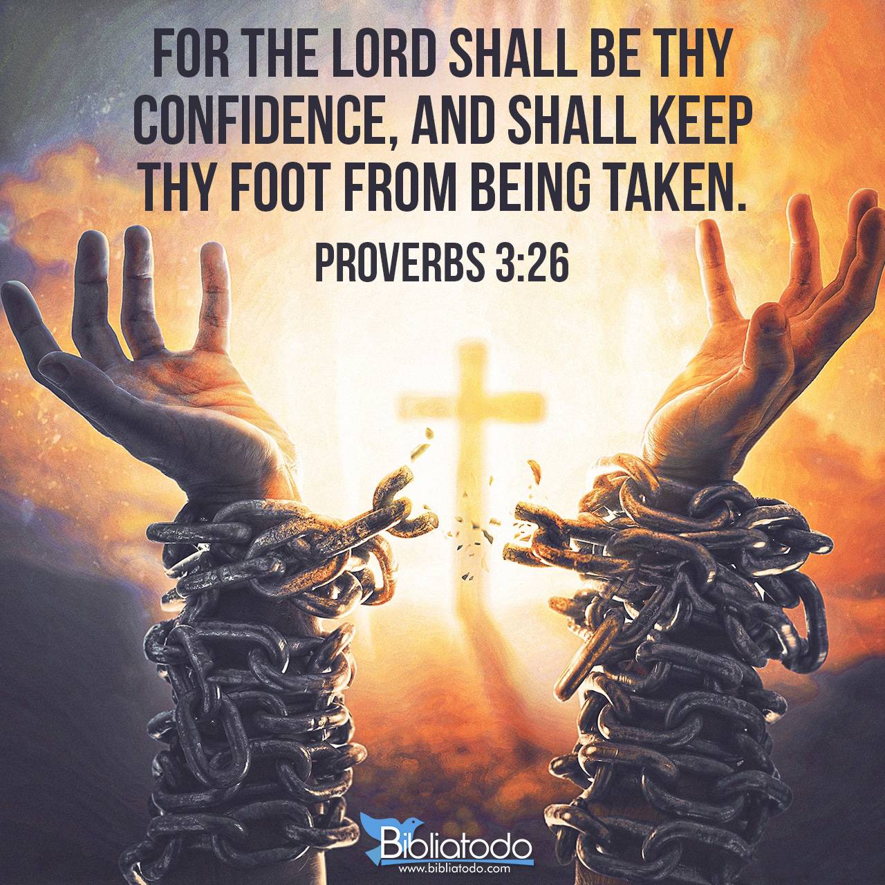 Proverbs 3:26 Bible Cross References | Connecting Verses Across ...