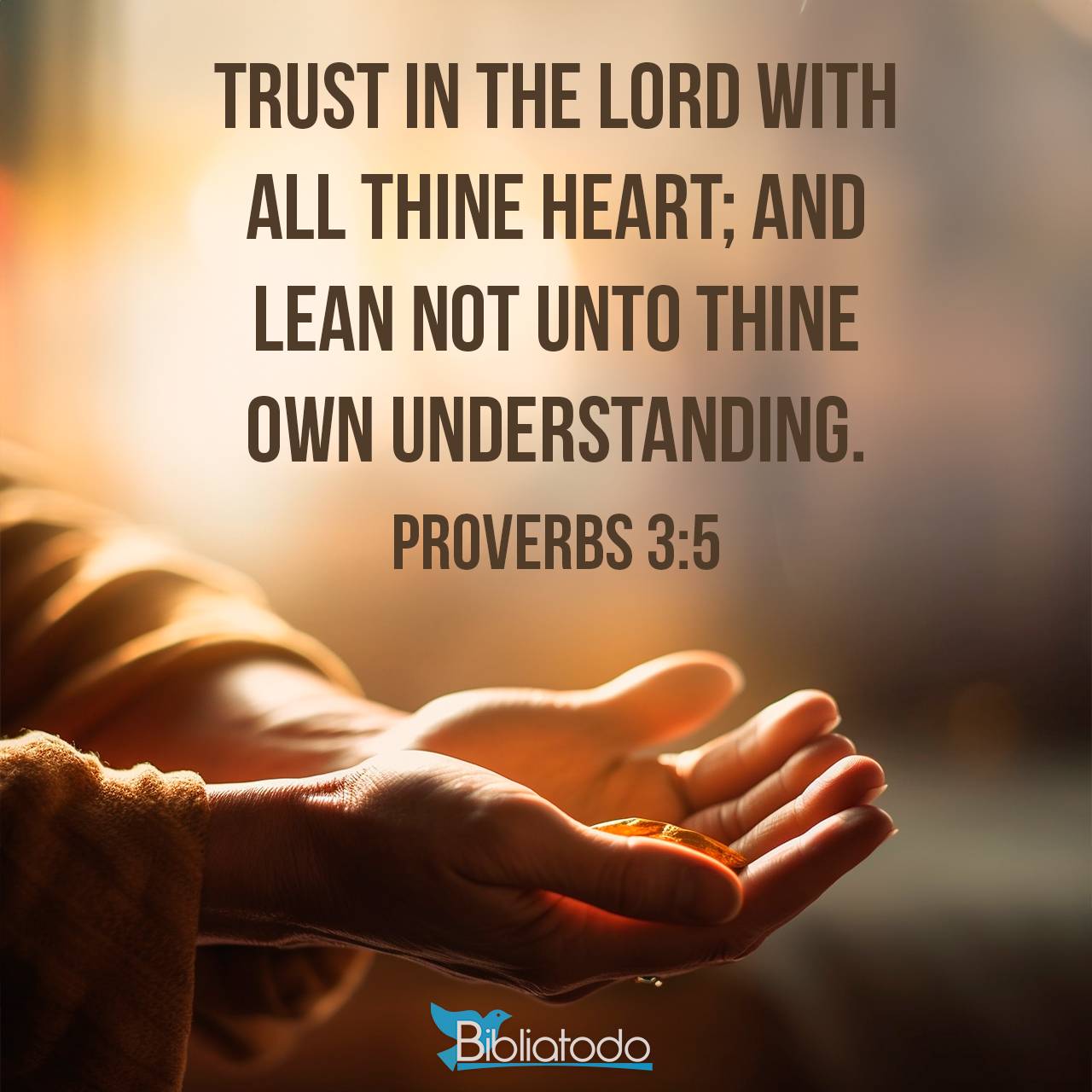 Proverbs 3:5 Bible Cross References | Connecting Verses Across ...