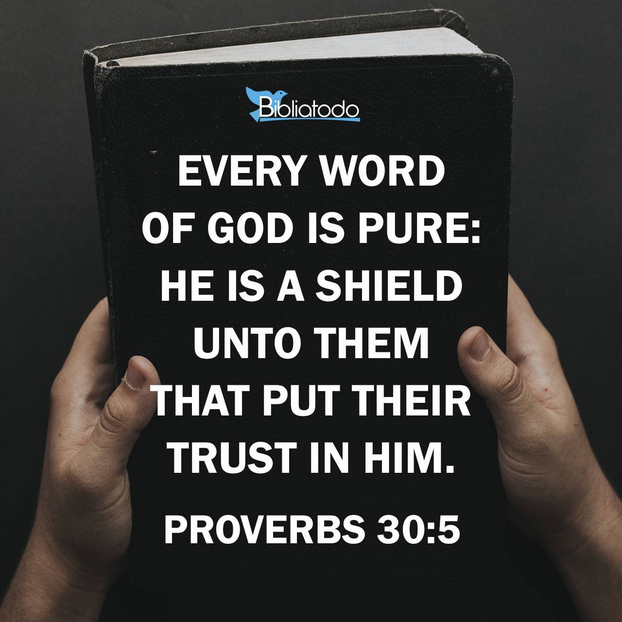 Proverbs 30:5 Bible Cross References | Connecting Verses Across ...