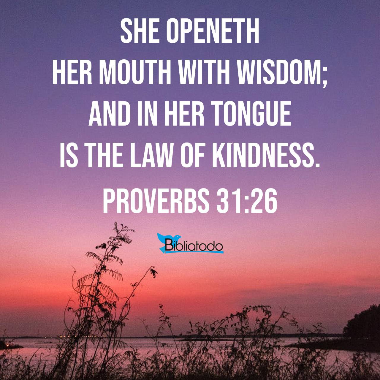 Proverbs 31:26 Bible Cross References | Connecting Verses Across Scripture - NMV