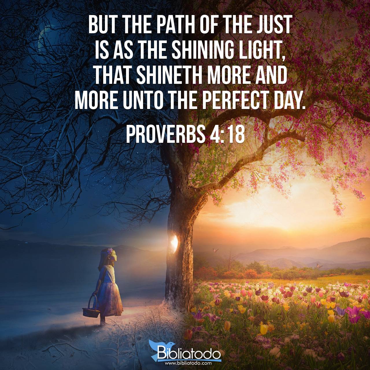 Proverbs 4:18 Bible Cross References | Connecting Verses Across ...