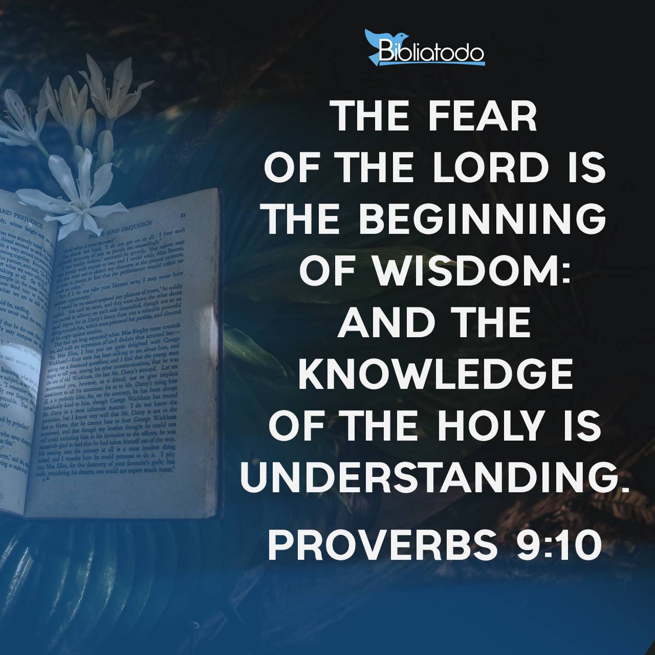 Proverbs 9:10 Bible Cross References | Connecting Verses Across ...