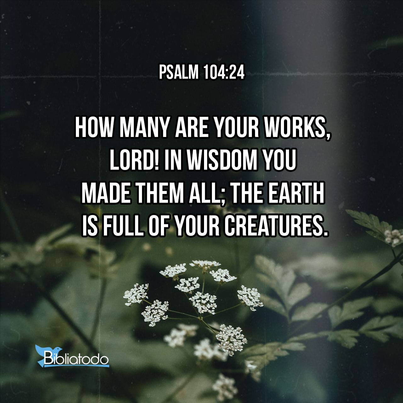 Psalm 104:24 Bible Cross References | Connecting Verses Across Scripture - ERB