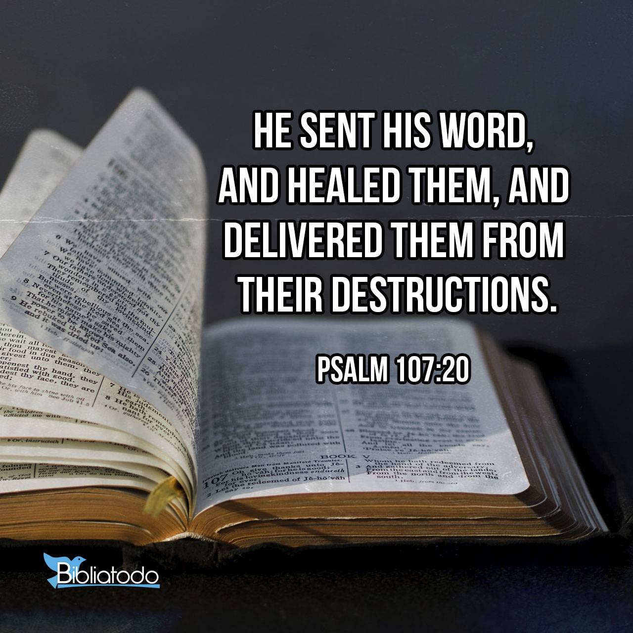 Psalm 107:20 Bible Cross References | Connecting Verses Across Scripture - BSB-en