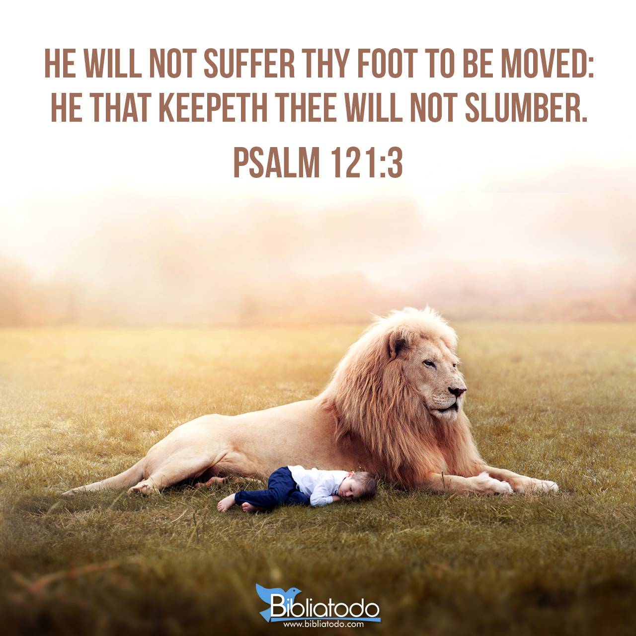 Psalm 121:3 CEVDCI - The Lord is your protector, and he won't go to ...