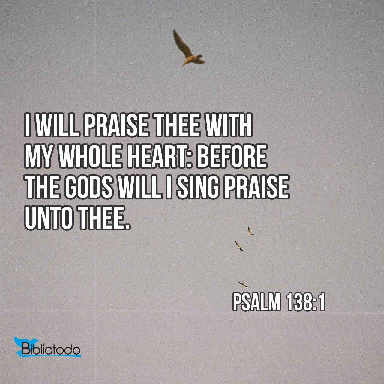 Psalm 138:1 Bible Cross References | Connecting Verses Across Scripture ...