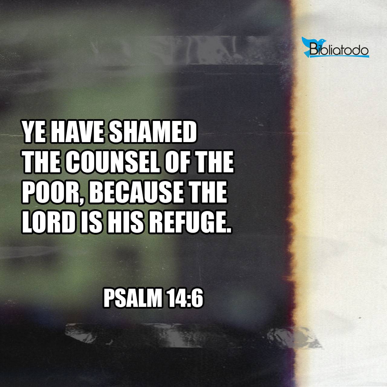 Psalm 14:6 Bible Cross References | Connecting Verses Across Scripture - YLT98