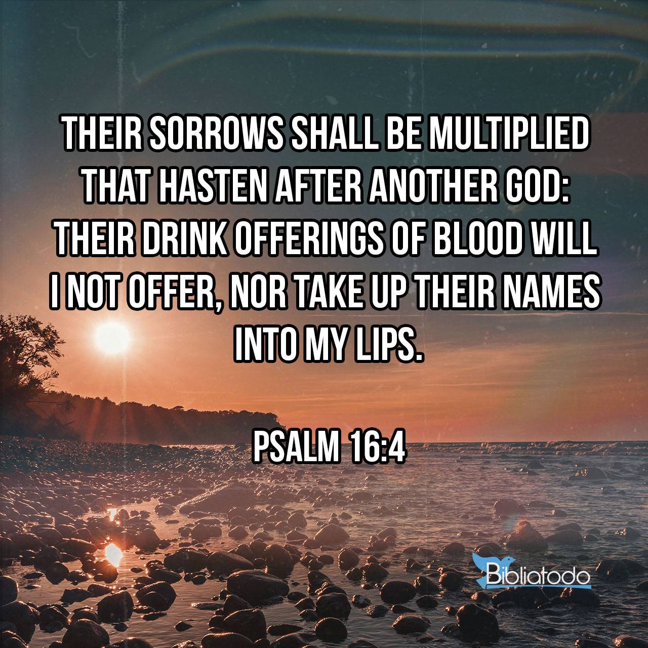 Psalm 16:4 Bible Cross References | Connecting Verses Across Scripture - YLT98